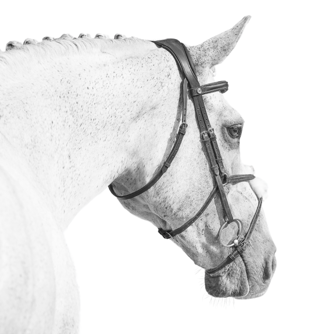 Bridles - Anatomical Bridles, Snaffle Bridles & Double Bridles – Henry ...