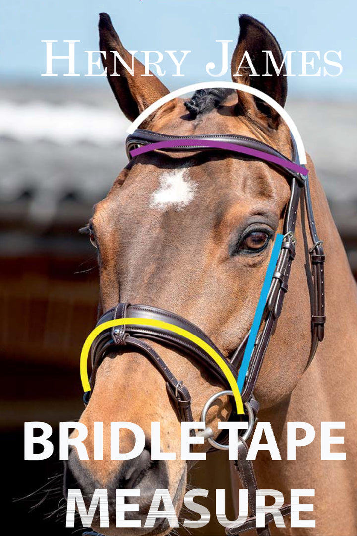 Complete Bridles - Anatomical Snaffle Bridles & Double Bridles – Henry ...